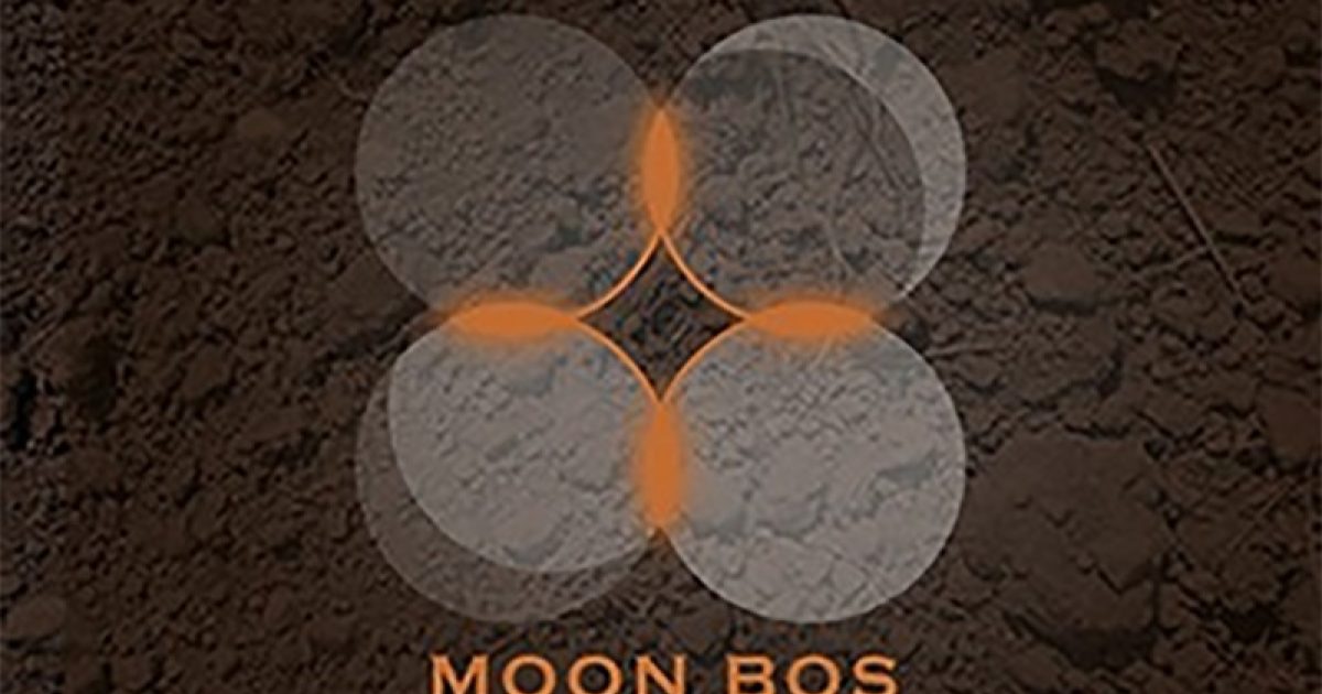 Martha's Vineyard | Bos Wine Moon BOS Harvest Red Blend 2021